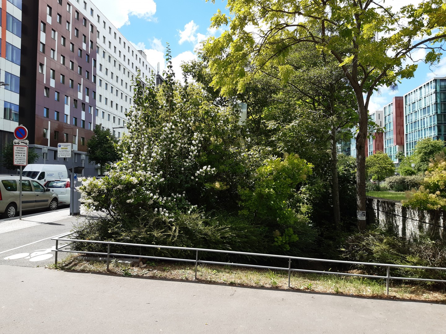 Créer des bandes végétalisées ou des noues urbaines